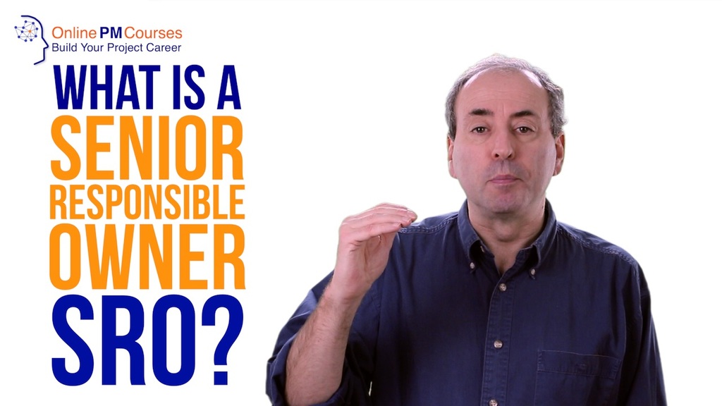 What is a Senior Responsible Owner - SRO? | Video