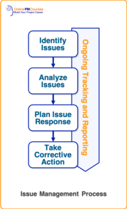 Issue Management: What Do You Need to Know about PM's Vital Process?