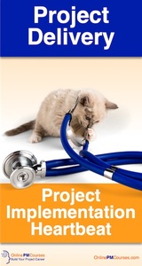 The Secret of Project Delivery: Project Implementation Heartbeat