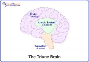 Power of Neuroscience: How to Harness it for Project Success