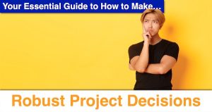 Your Essential Guide to How to Make Robust Project Decisions