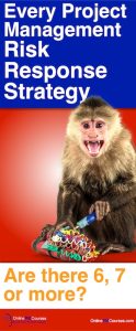 Every Project Management Risk Response Strategy: Are there 6, 7 or more?
