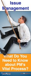Issue Management: What Do You Need to Know about PM's Vital Process?