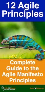 Agile Principles: Complete Guide to the 12 Agile Manifesto Principles